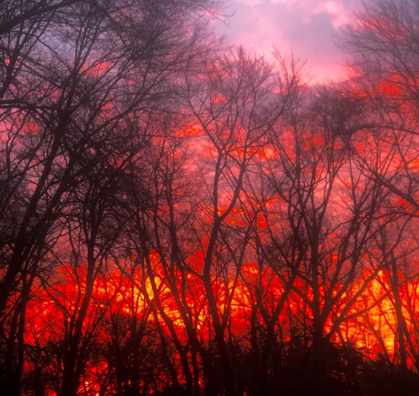 Grant’s Goodbye – Shangri-La